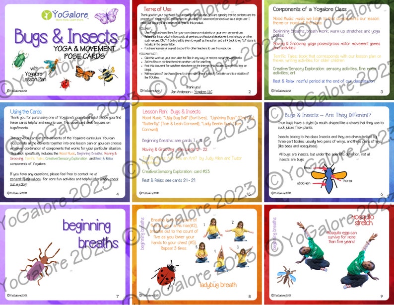 Bugs and Insects Yoga Pose Cards for Kids, Gross Motor Movement for ...