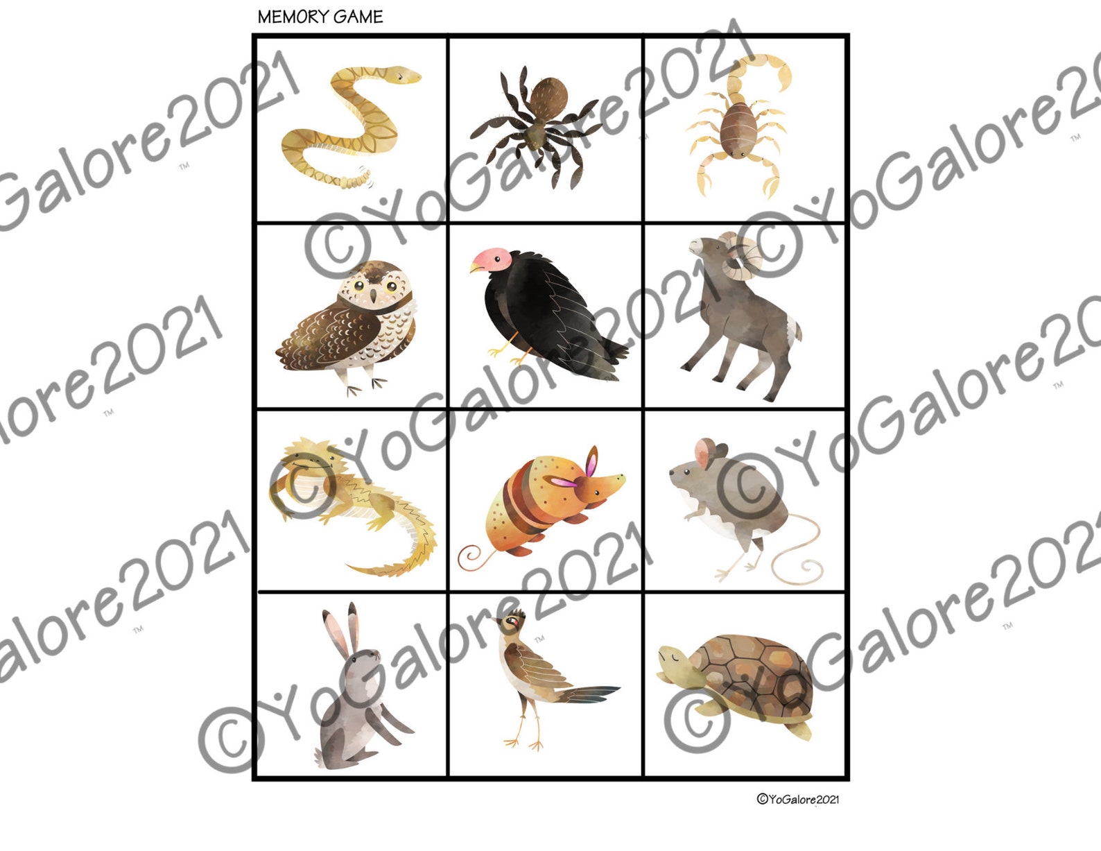 Desert Theme Activities: Set of 10 Fact Printables & Memory Game - Etsy