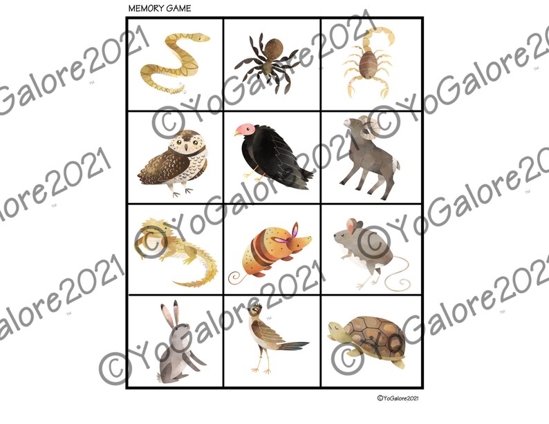 Desert Theme Activities: Set of 10 Fact Printables & Memory Game - Etsy