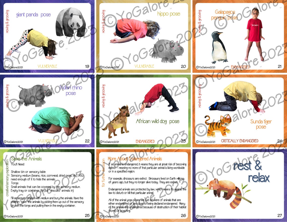 Endangered Animal Yoga & Movement Cards and Lesson Plan - Etsy