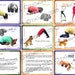 Endangered Animal Yoga & Movement Cards and Lesson Plan - Etsy