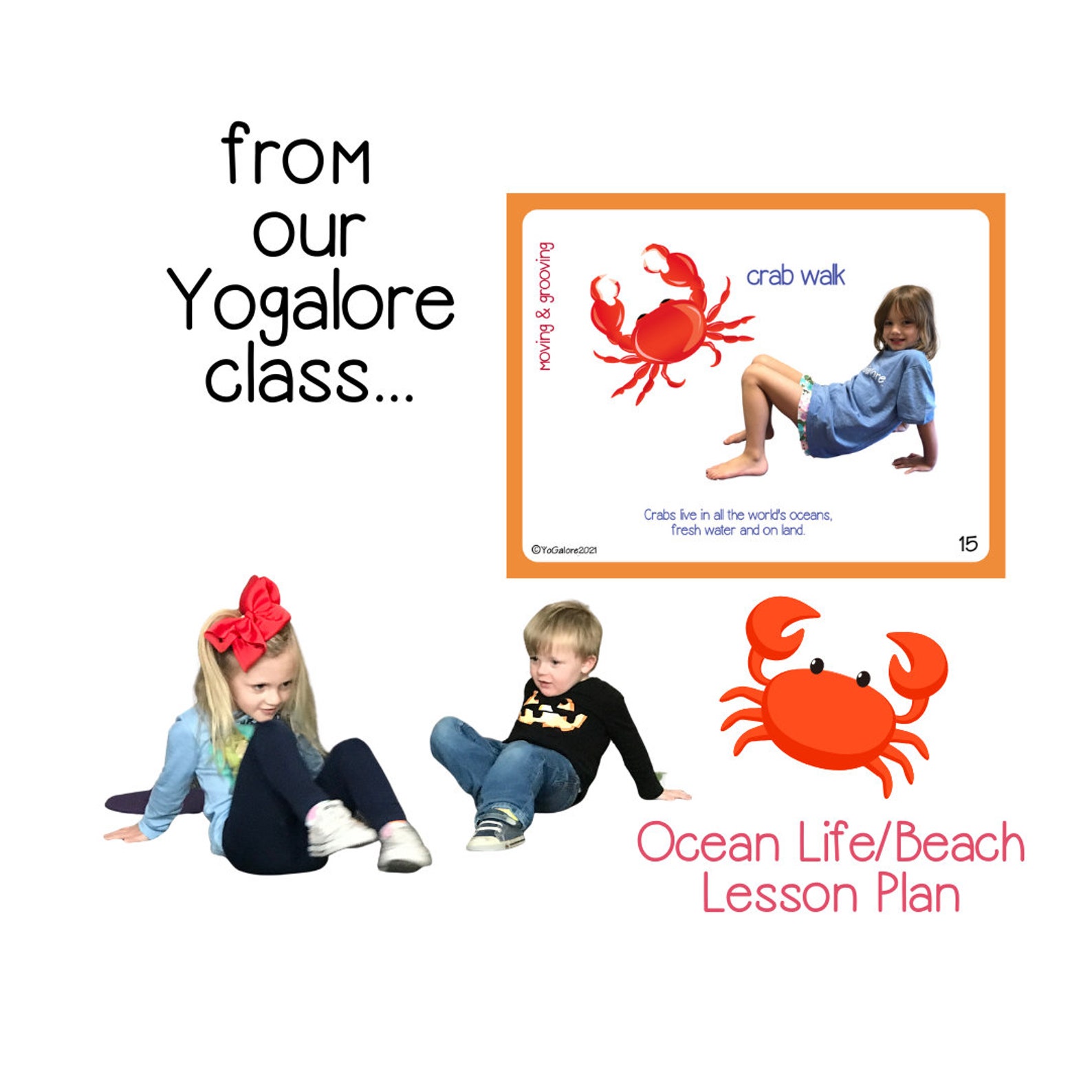 Ocean Animals | Ocean Life Yoga & Movement Pose Cards With Lesson Plan ...
