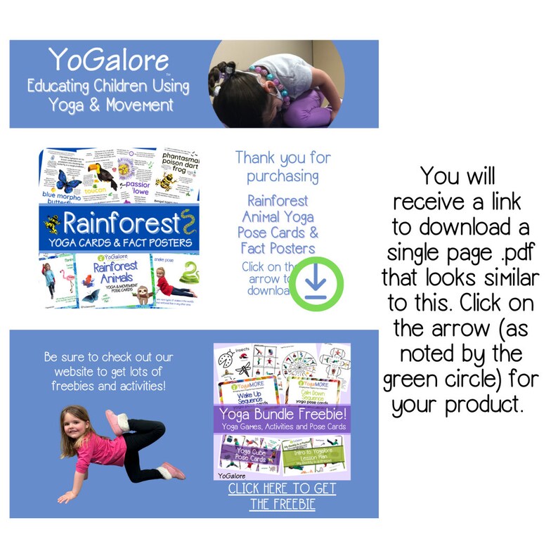 Rainforest Theme Yoga Pose Cards and Rainforest Fact Posters - Etsy