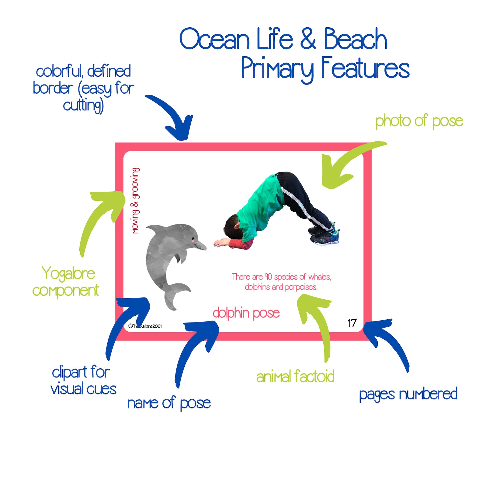 Ocean Animals | Ocean Life Yoga & Movement Pose Cards With Lesson Plan ...