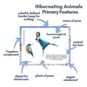 Hibernating Animals Yoga & Movement Pose Cards - Etsy