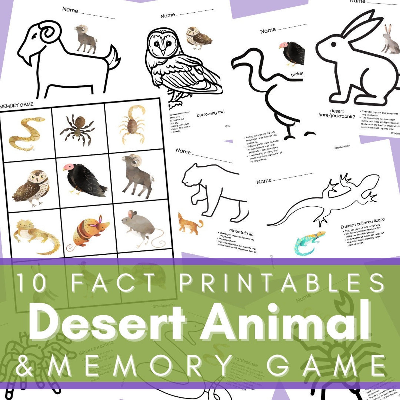 Desert Theme Activities: Set of 10 Fact Printables & Memory - Etsy