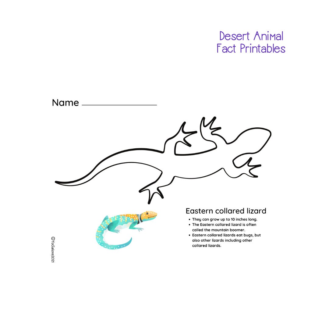 Desert Theme Activities: Set of 10 Fact Printables & Memory Game - Etsy