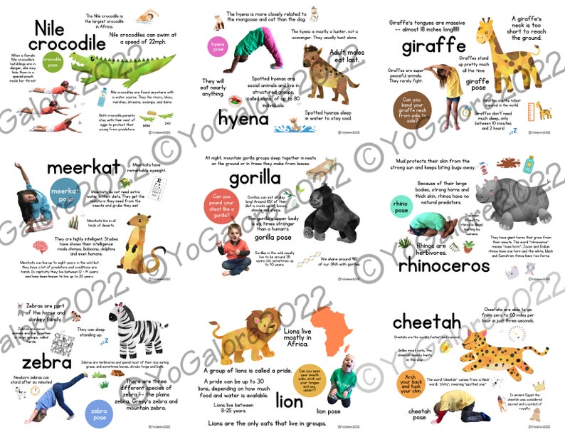Safari Animal Jungle Animal Theme Fact Posters With Yoga Poses for ...
