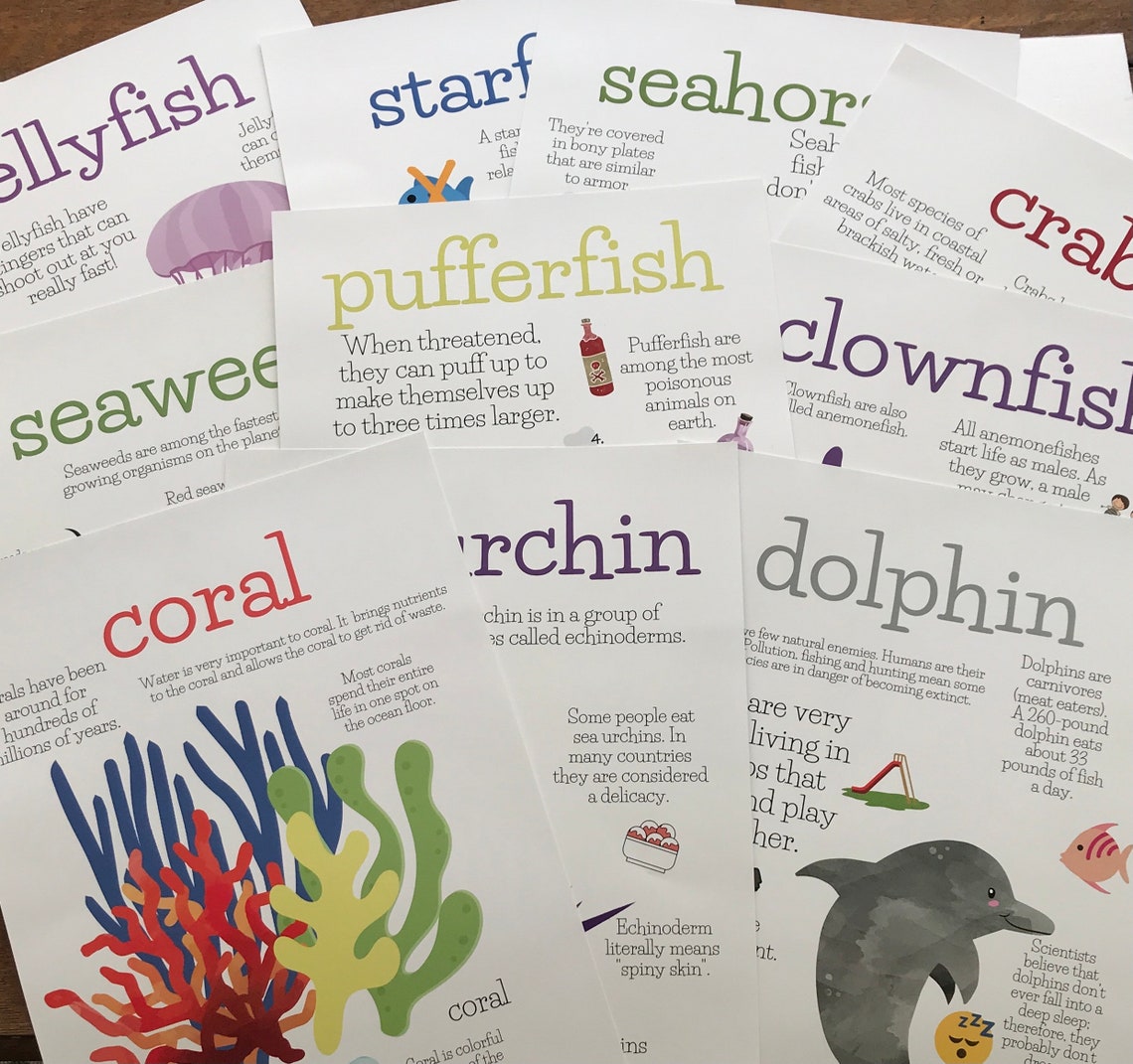 Ocean Life Fact Posters and Cards - Etsy