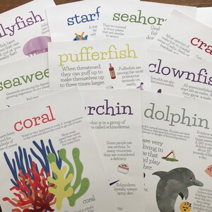 Ocean Life Fact Posters and Cards - Etsy