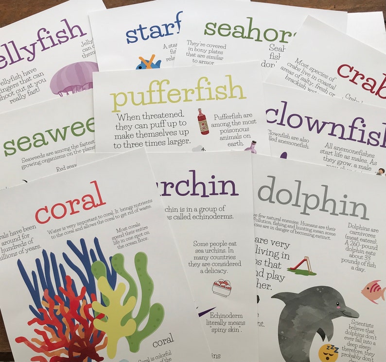 Ocean Life Fact Posters and Cards - Etsy