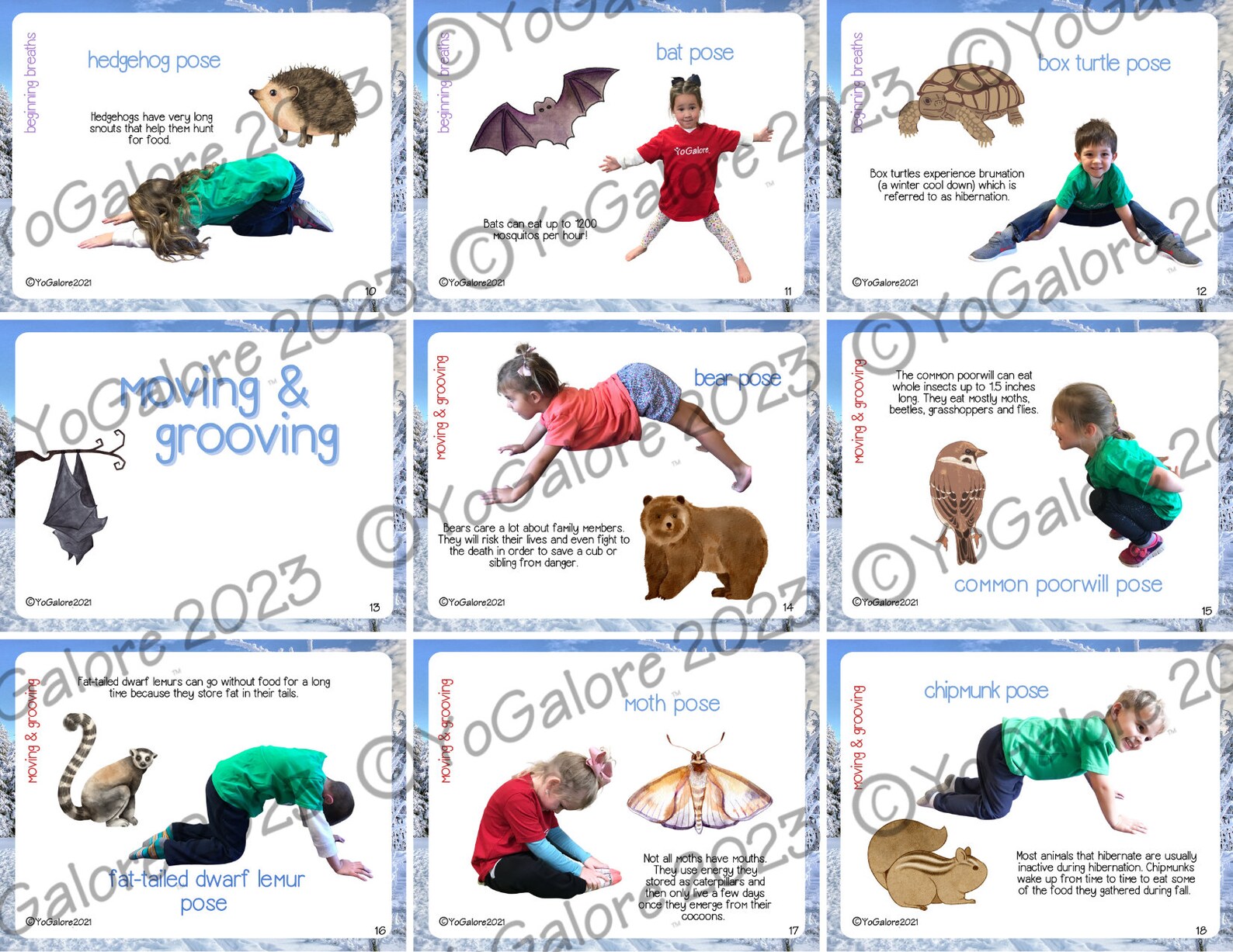 Hibernating Animals Yoga & Movement Pose Cards - Etsy