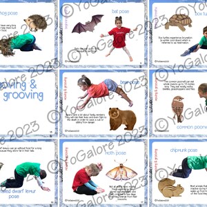 Hibernating Animals Yoga & Movement Pose Cards - Etsy