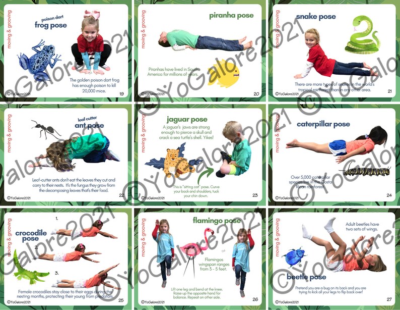 Rainforest Animals Yoga & Movement Pose Cards - Etsy