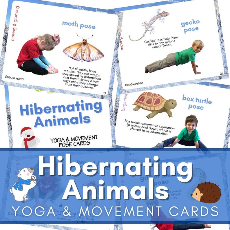 Hibernating Animals Yoga & Movement Pose Cards - Etsy