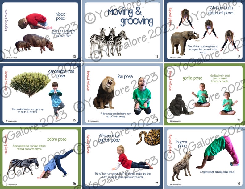 Safari Theme/jungle Theme Yoga & Movement Pose Cards With Lesson Plan ...