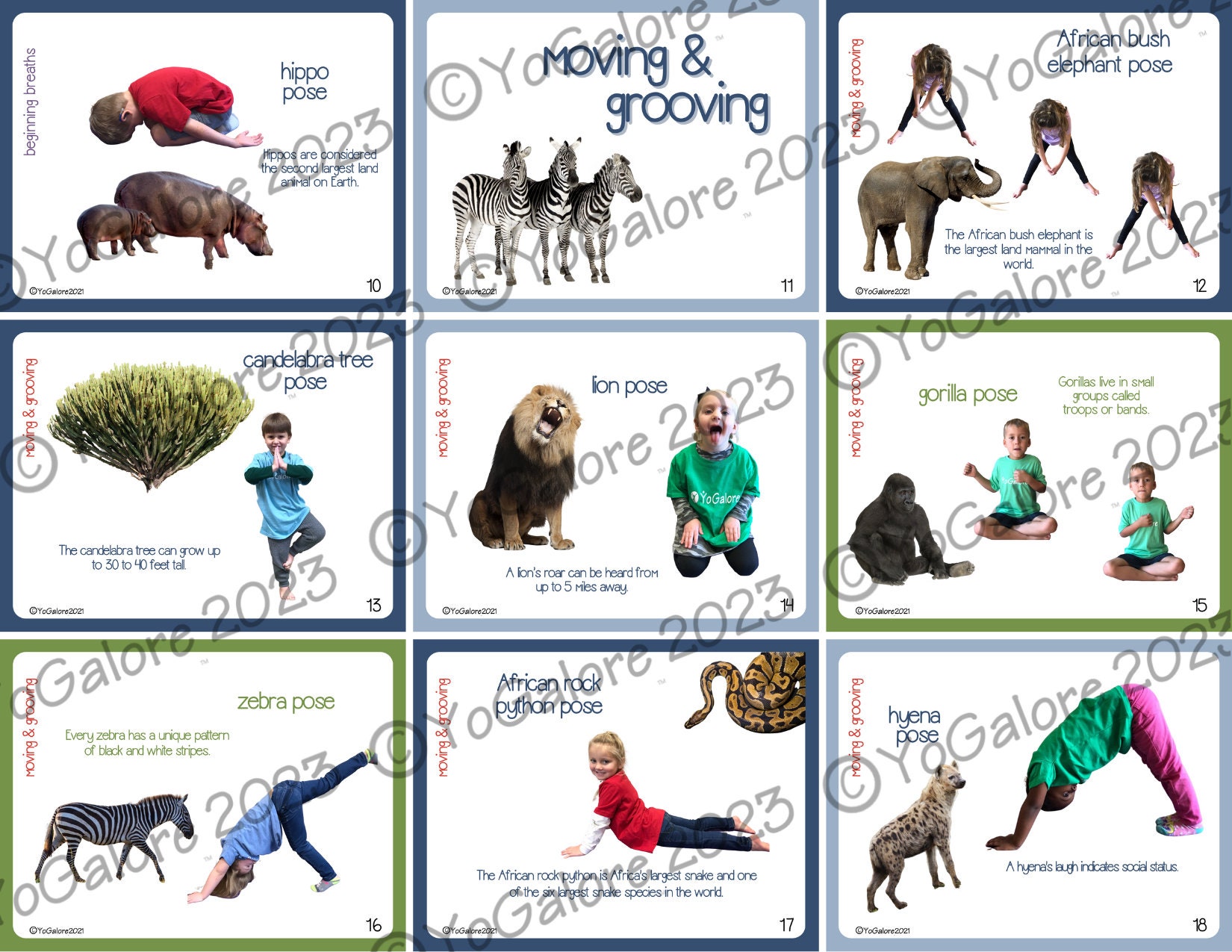 Safari Theme/jungle Theme Yoga & Movement Pose Cards With Lesson Plan ...