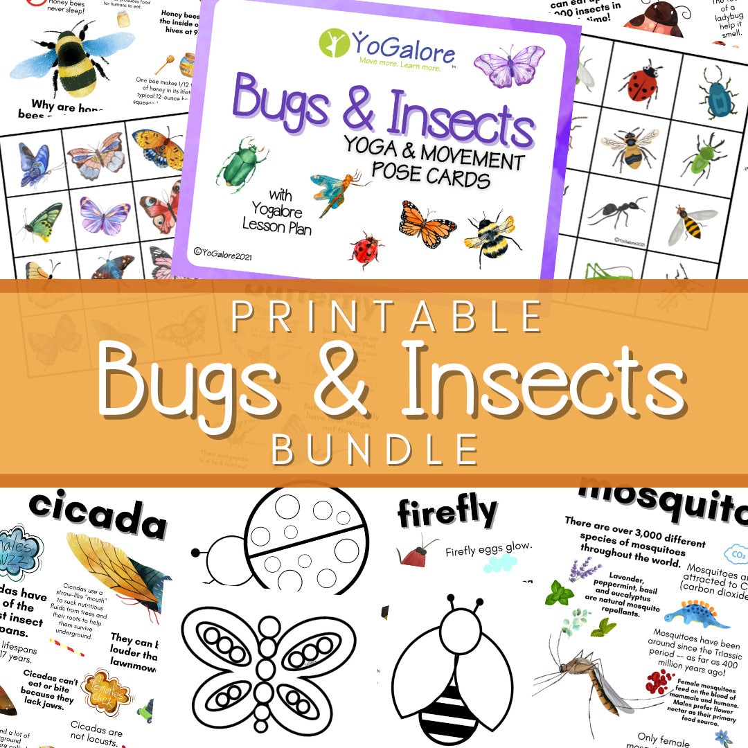 Bug & Insect Theme Bundle: Yoga/movement Cards, Printables, Memory Game ...