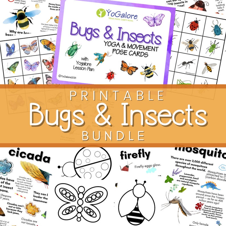 Bug & Insect Theme Bundle: Yoga/movement Cards, Printables, Memory Game ...