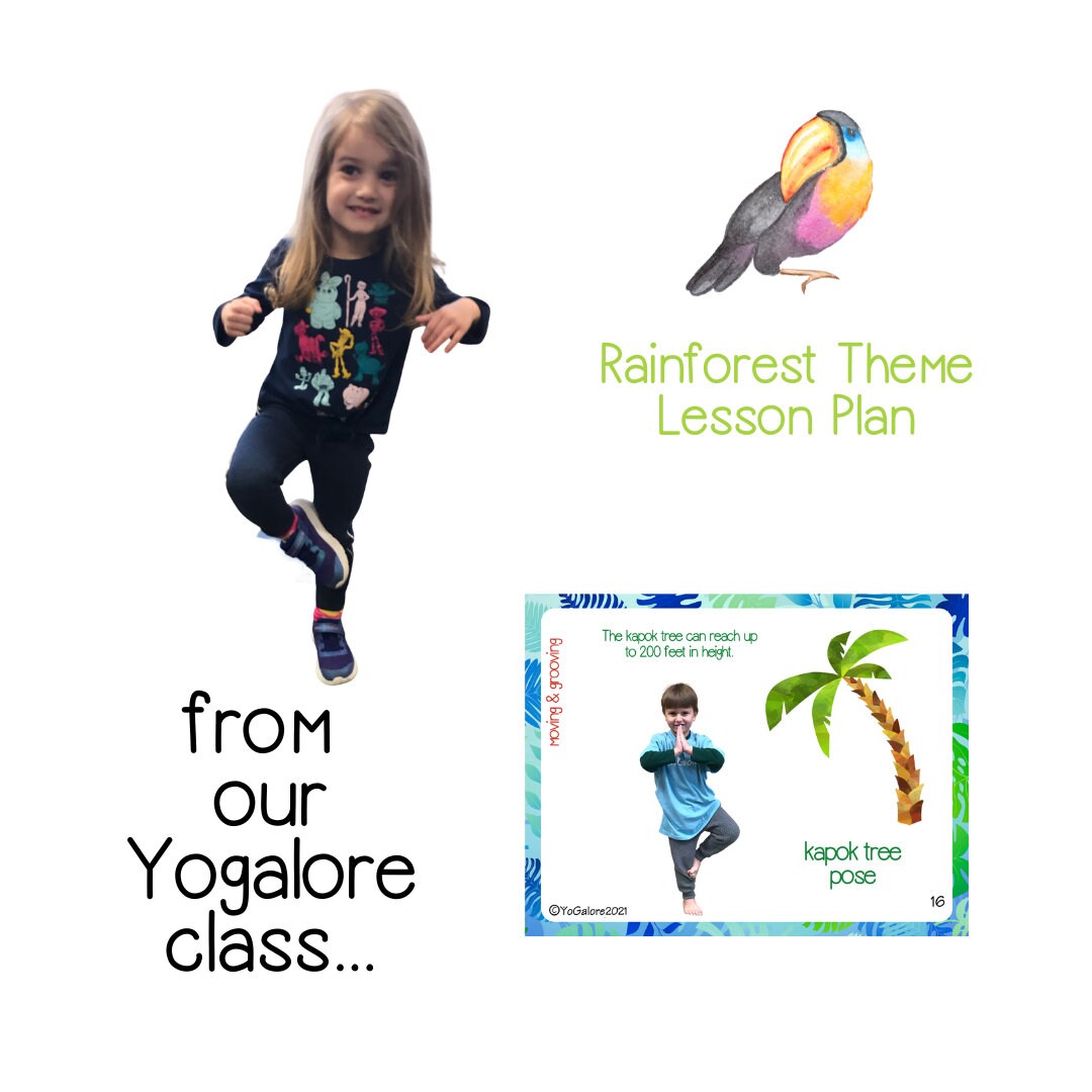 Rainforest Animals Yoga & Movement Pose Cards - Etsy