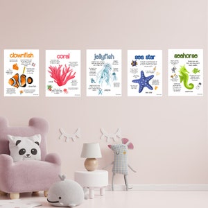 Ocean Life Fact Posters and Cards, Printable Sea Animal Facts for Kids ...