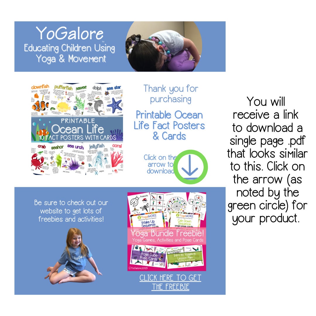 Ocean Life Fact Posters and Cards, Printable Sea Animal Facts for Kids ...