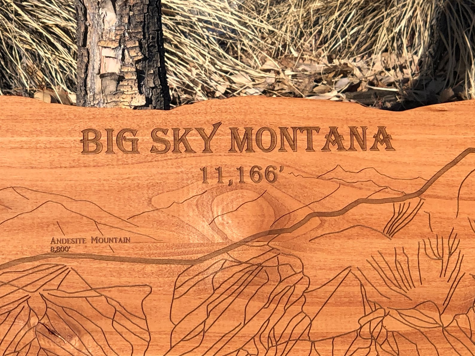Ski Wall Art – Engraved Ski Map - Etsy