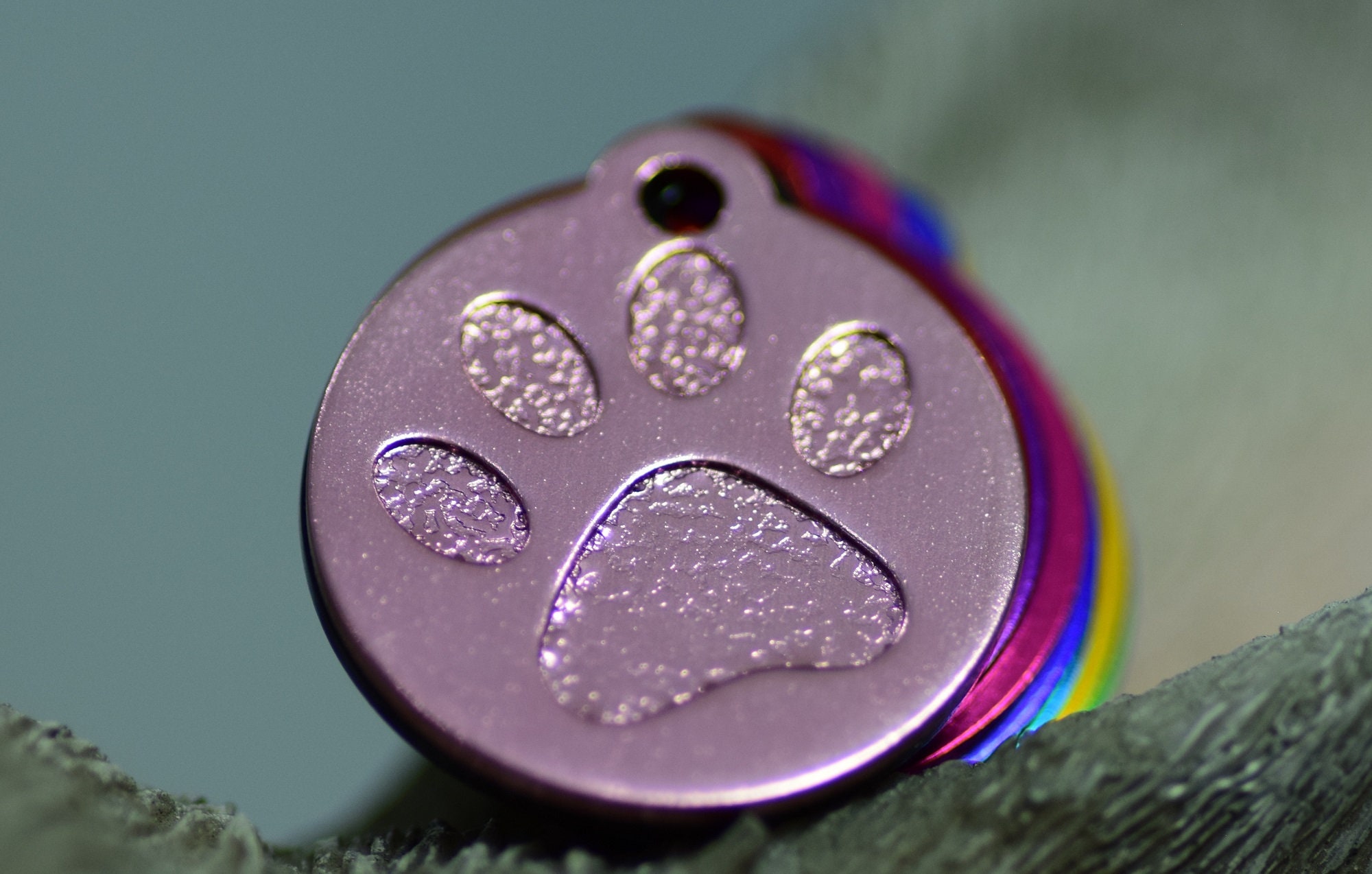 Pet tag id tag engraved personalised paw circle tag styles | Etsy