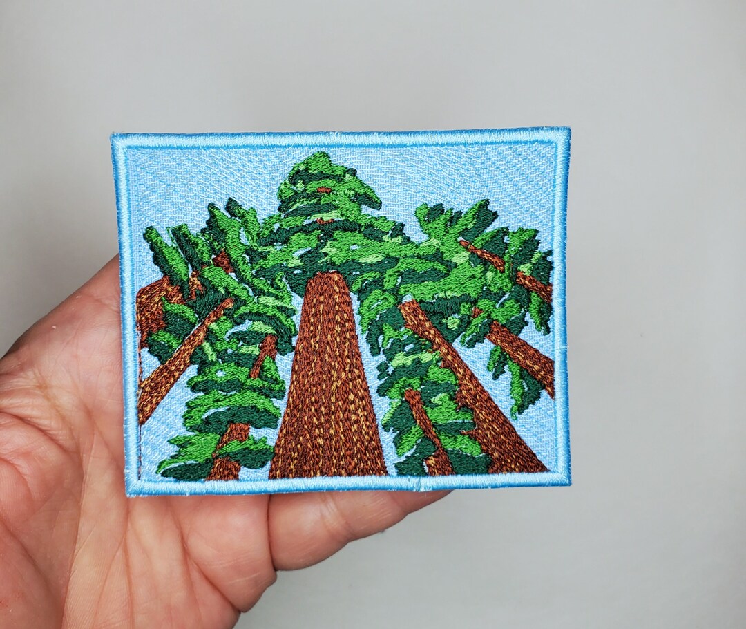 Redwood Trees Iron on Patch Outdoors Nature Patch Gazing at Trees Patch ...