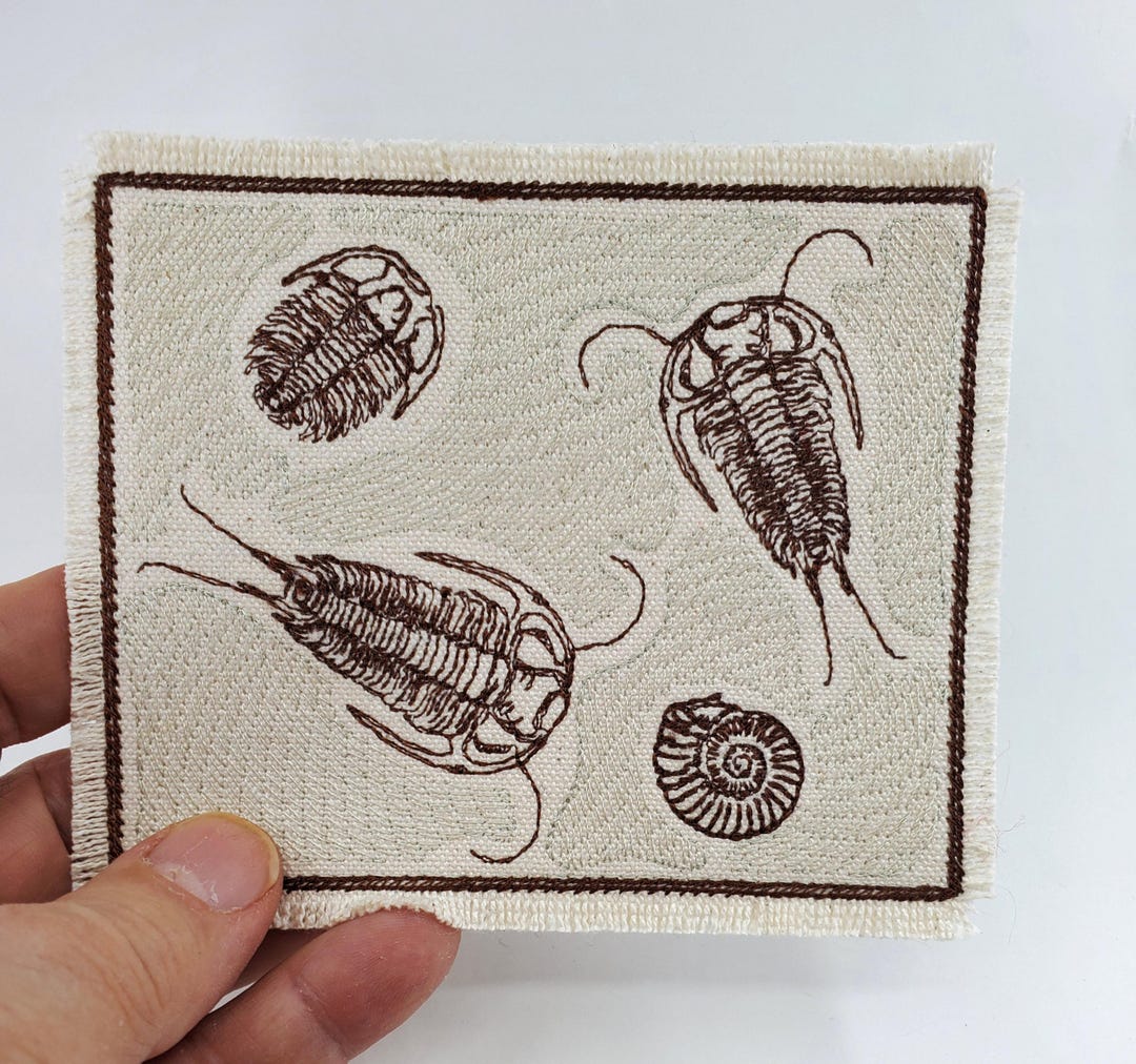Mixed Fossils Ammonite, Trilobites Embroidered Canvas Patch - Back Pack ...