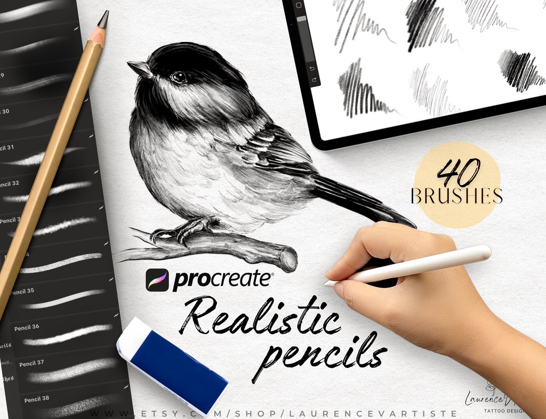 Procreate Brushes | Graphite Charcoal Realistic HB Pencil Bundle Pack ...