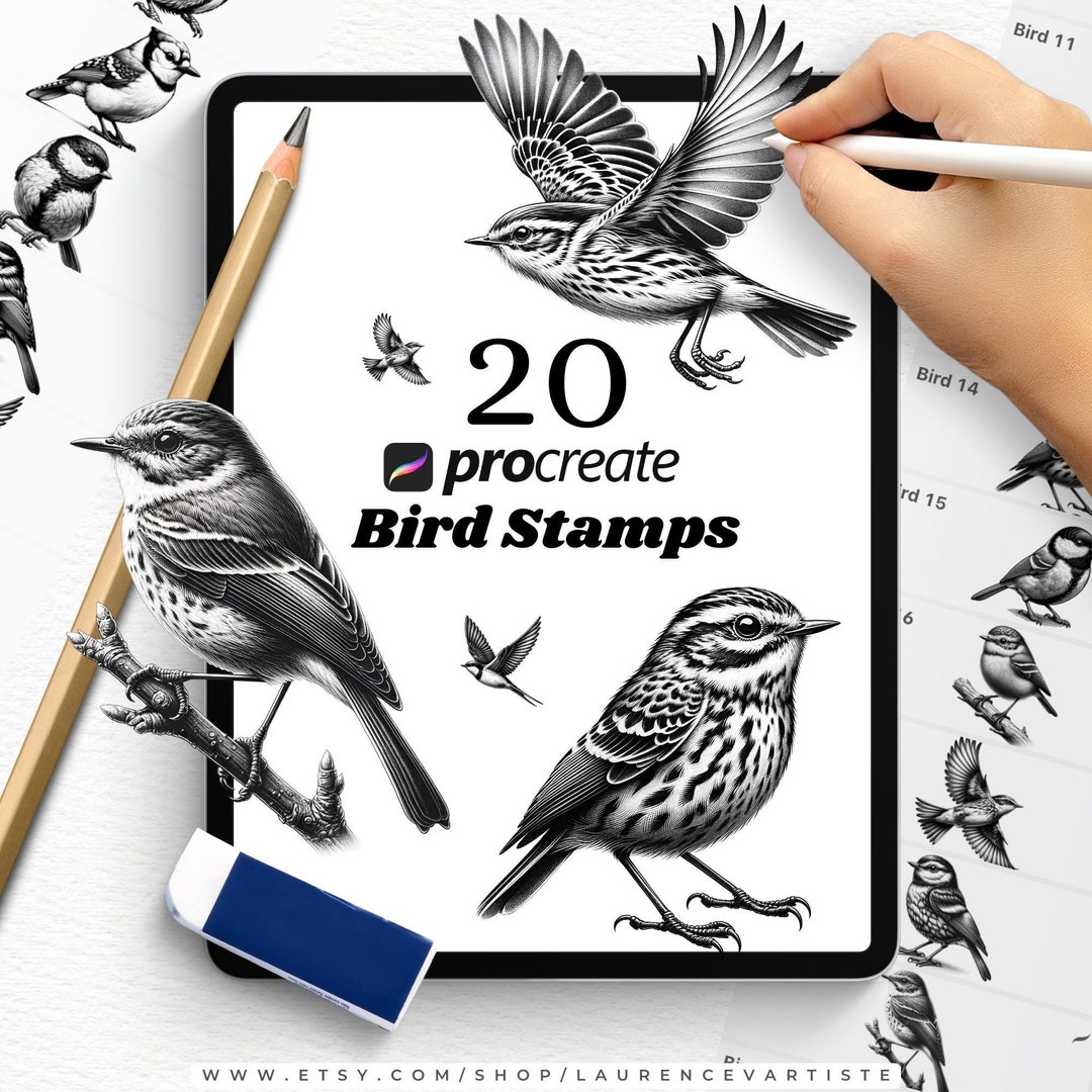 Procreate Brushes Stamps | Bird Realistic Feather Animal Procreate ...