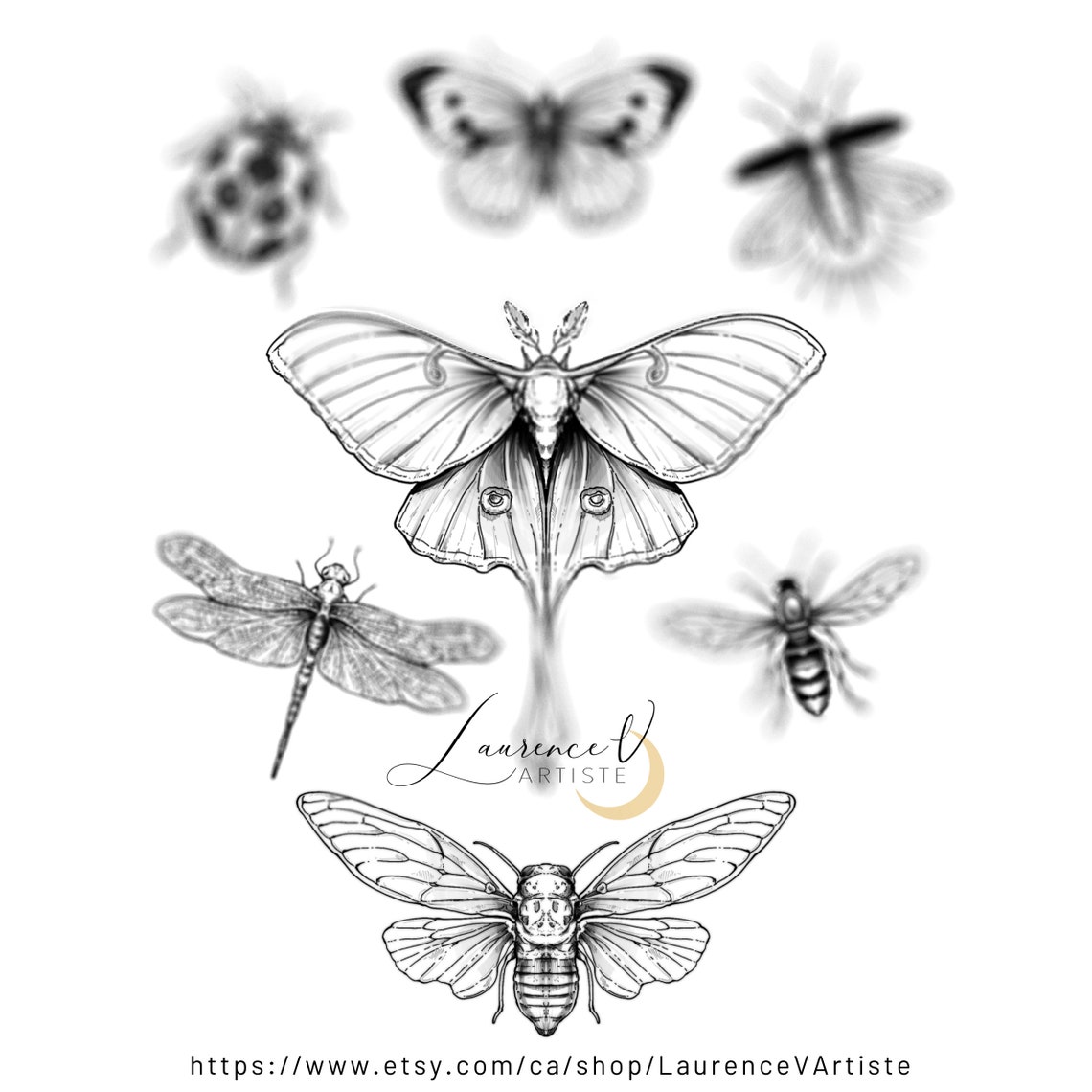 Insect Tattoo Flash and Procreate Brushes Butterfly Moth Bee - Etsy