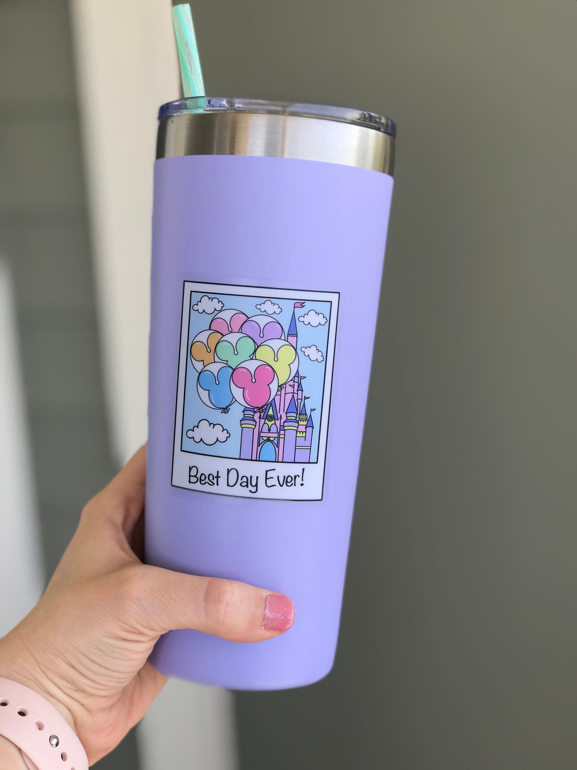 Disney Castle Sticker Best Day Ever Sticker Clear Sticker | Etsy