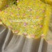 Embroidered Yellow Organza Saree /free Shipping in US - Etsy