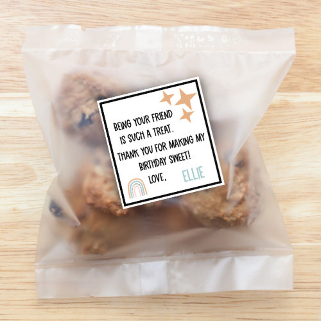 Editable Birthday Favor Tags, Birthday Party Favor Tags, Printable ...