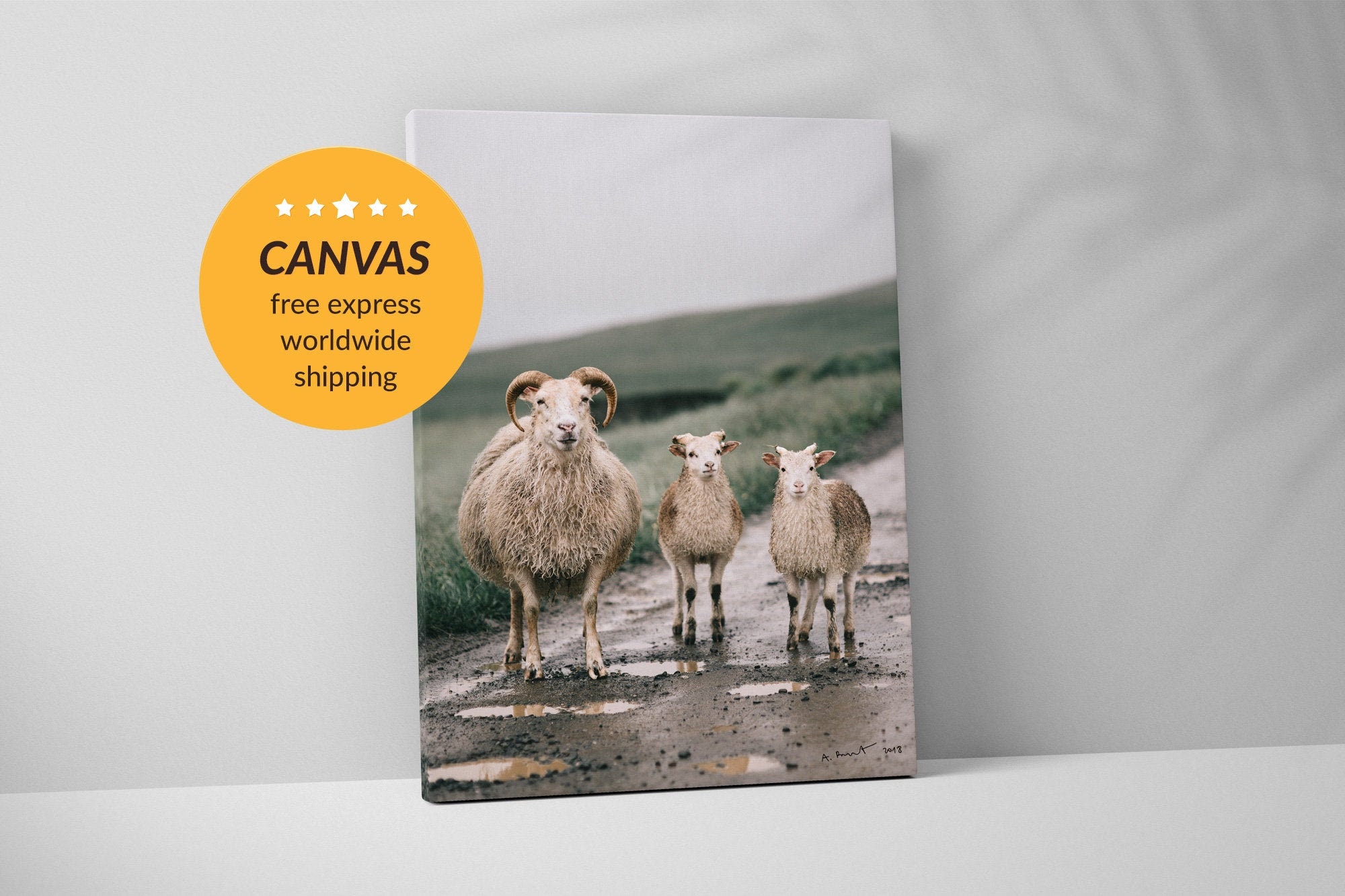 Boho Farmhouse Sheep Wall Decor, Rustic Large Canvas Wall Art, Iceland ...