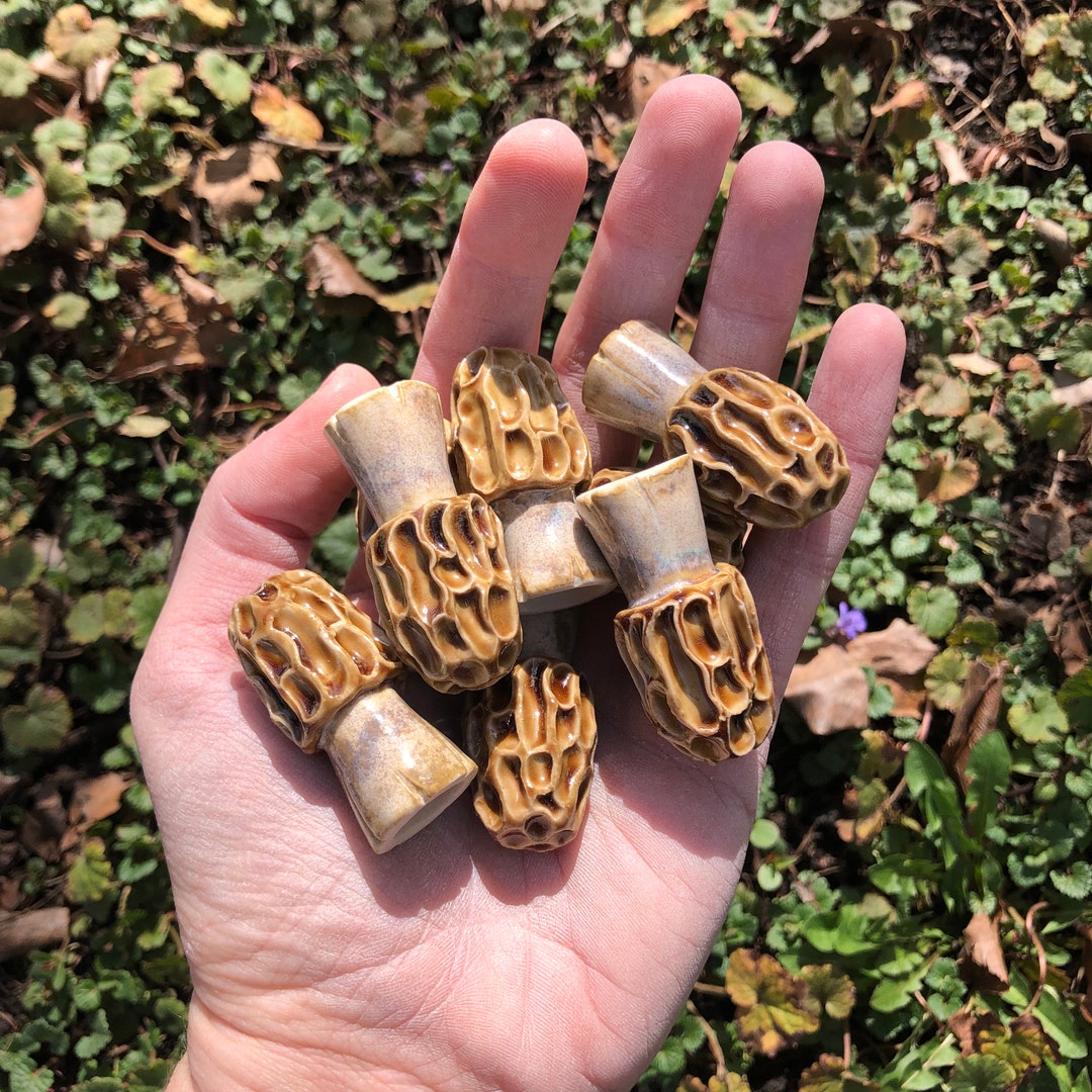 Ceramic Mini Morel Mushroom - Etsy