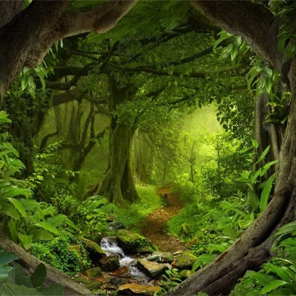 Forest Backdrop - Etsy