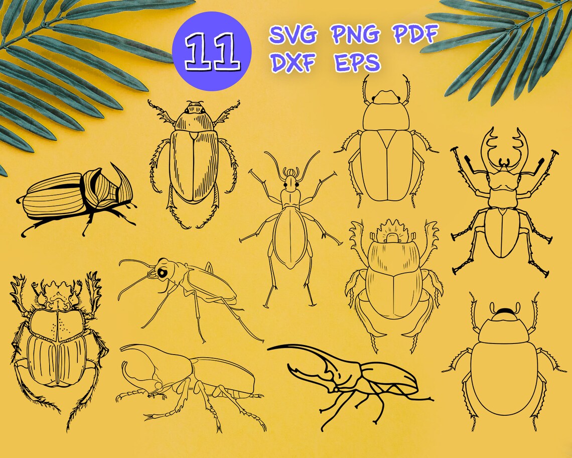 BEETLE BUG SVG, Insect Svg, Stag Beetle Svg, Bug Svg, Entomology Svg ...