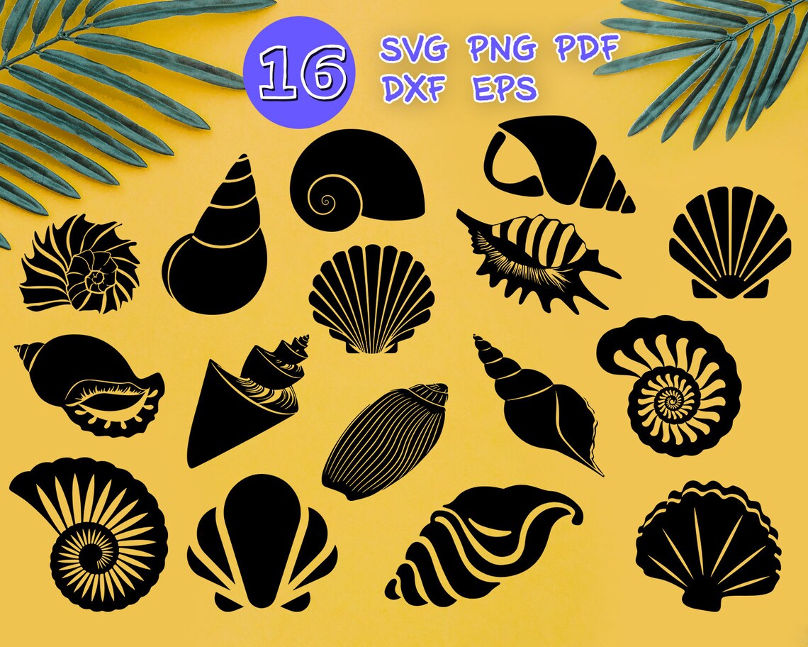 SEASHELL SVG Beach Svg Shell Svg Mermaid Svg Seashell | Etsy