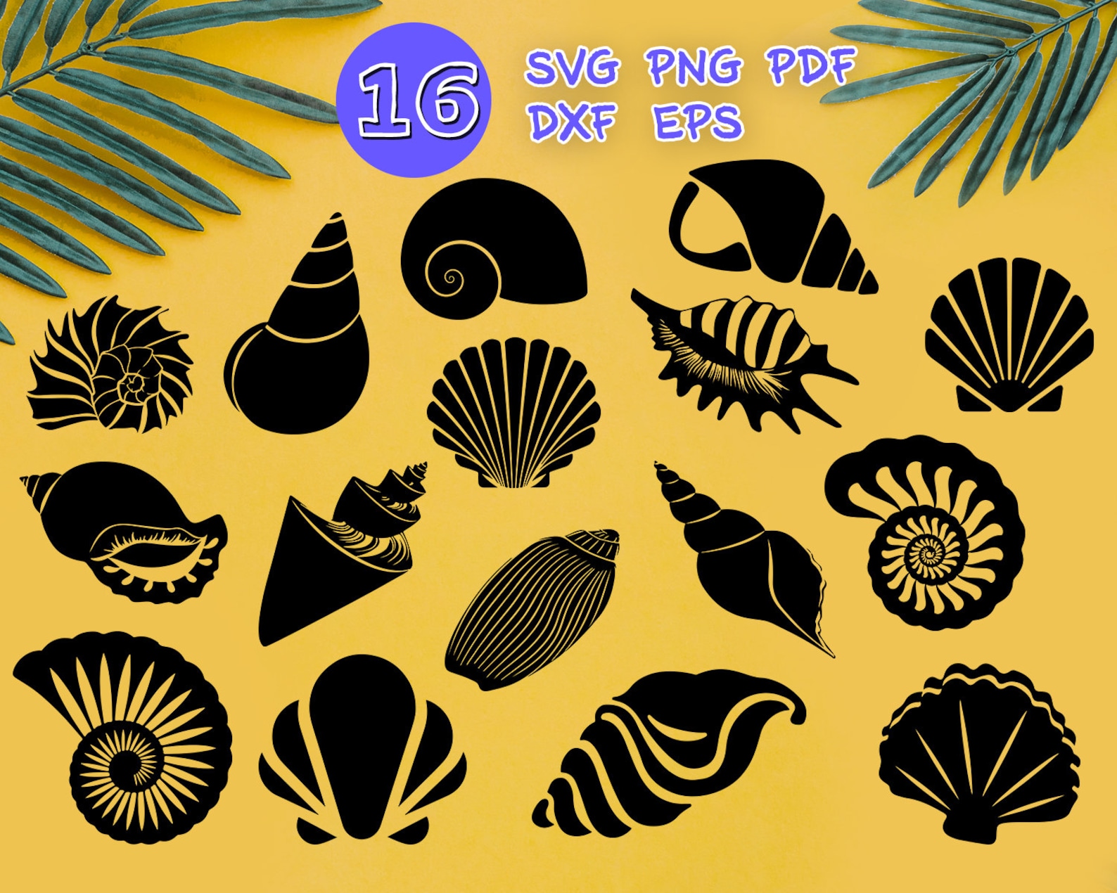 SEASHELL SVG Beach Svg Shell Svg Mermaid Svg Seashell | Etsy