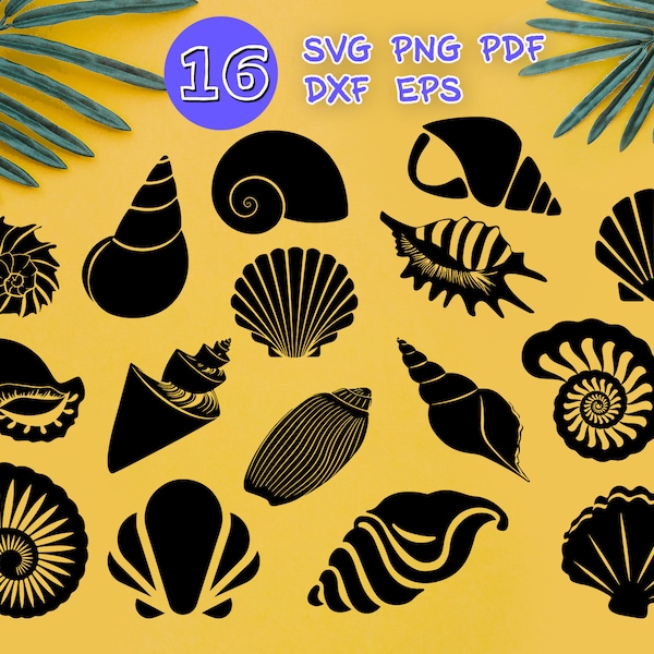 Shell Svg - Etsy