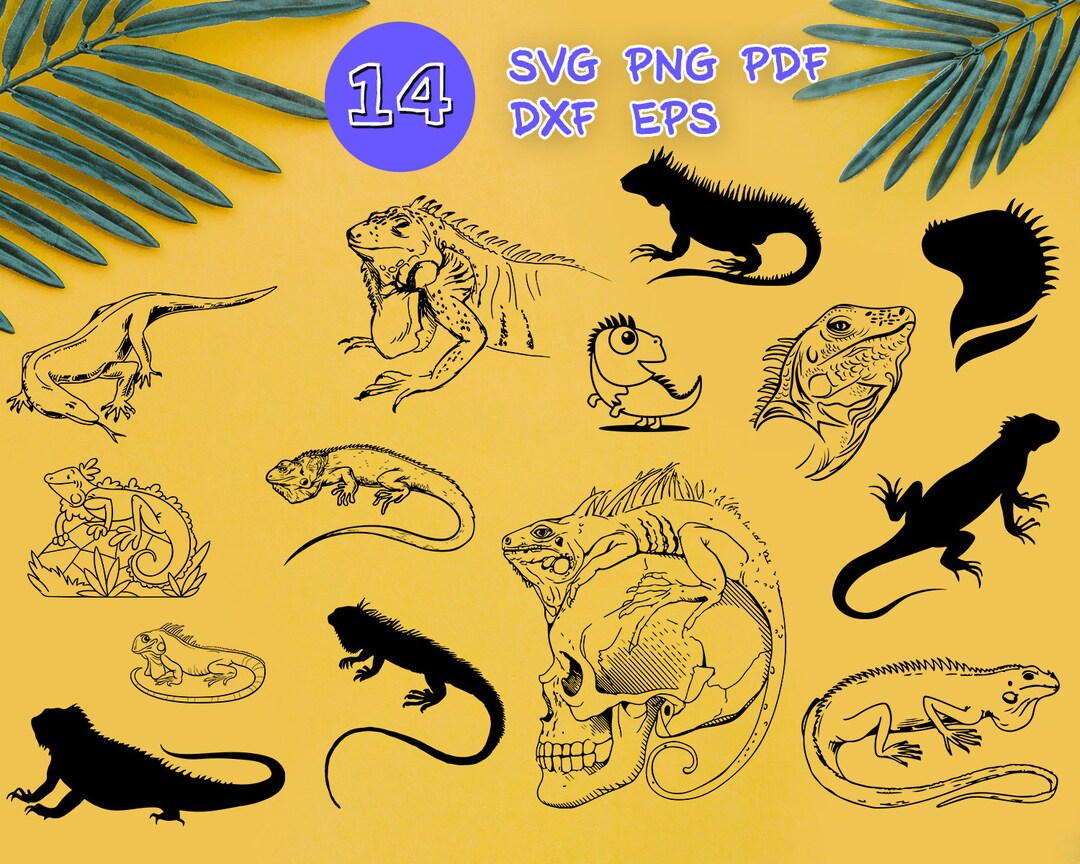 IGUANA SVG, Lizard Svg, Reptile Svg, Iguana Vector, Tropical Svg ...