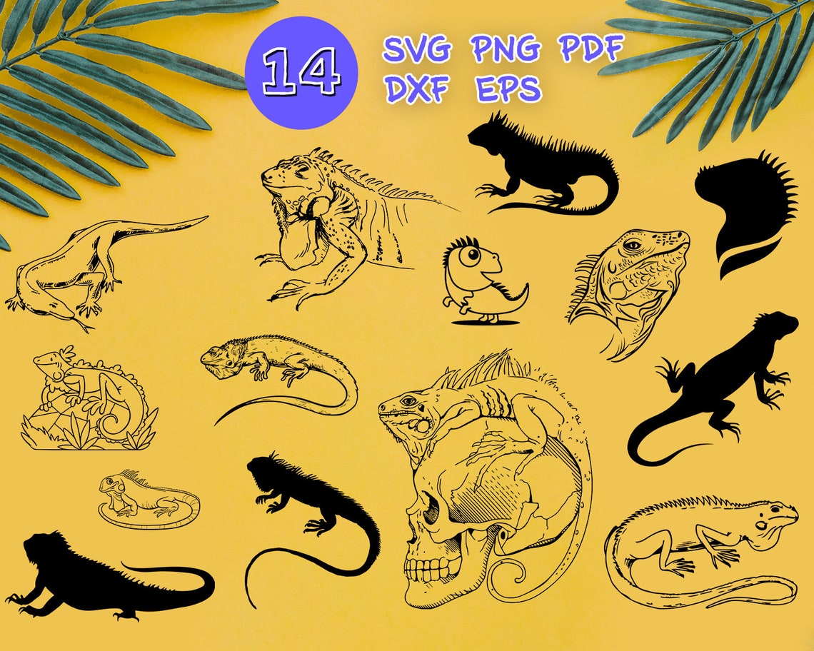 IGUANA SVG Lizard Svg Reptile Svg Iguana Vector Tropical - Etsy