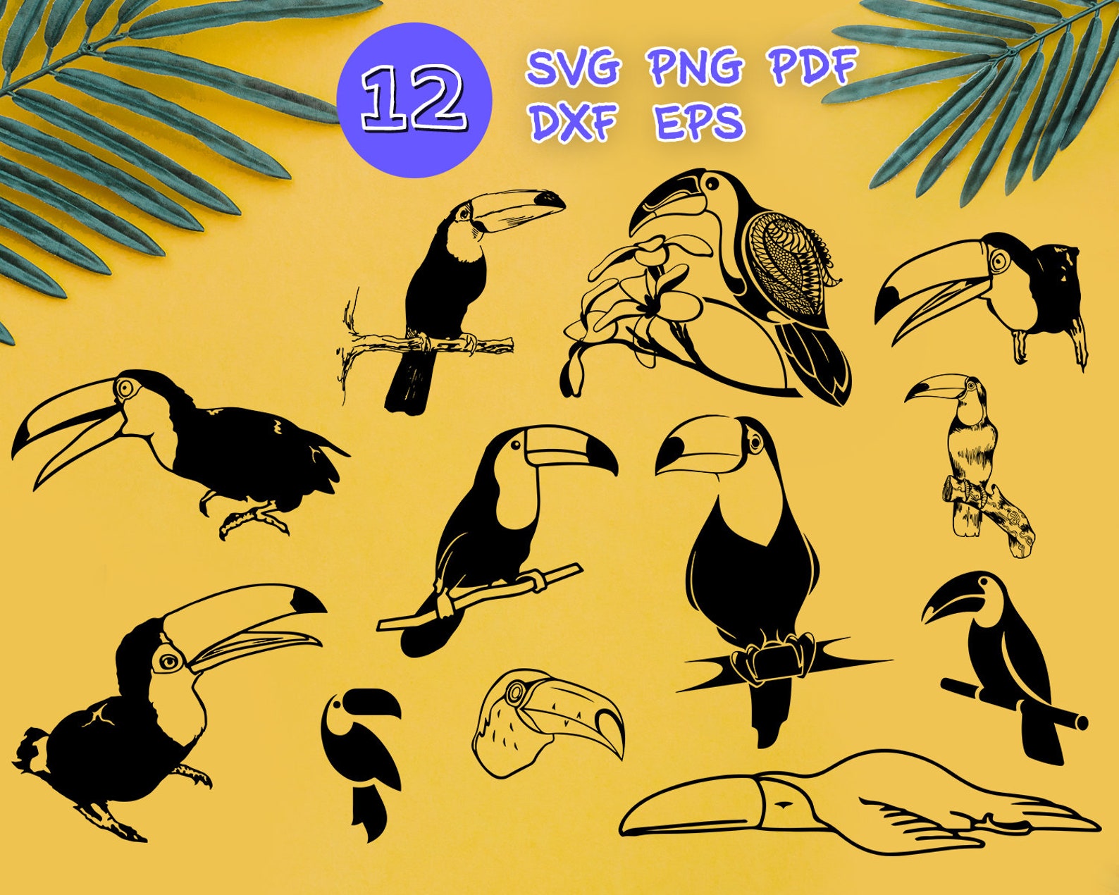 TOUCAN SVG Bird Svg Toucan Clipart Tropical Svg Toucan - Etsy