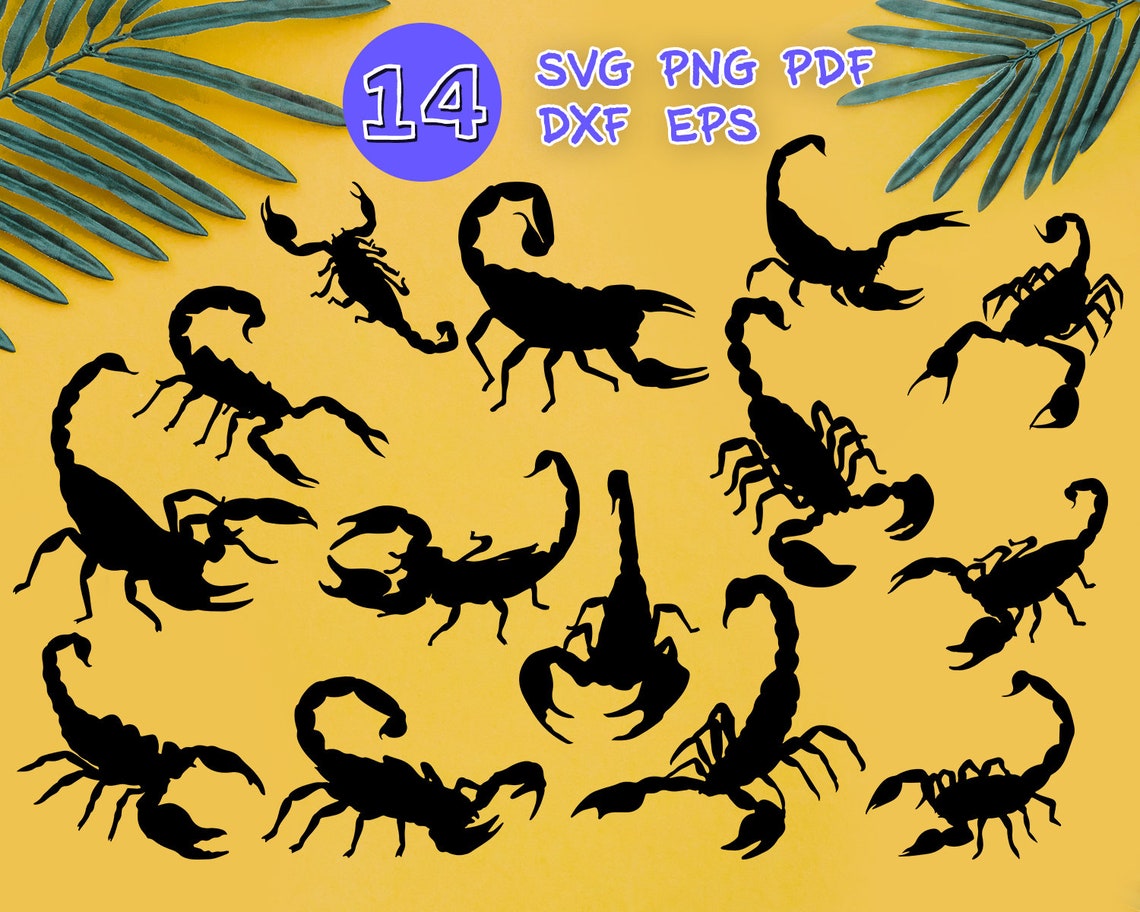 SCORPION SVG scorpion scorpion clipart scorpion vector | Etsy