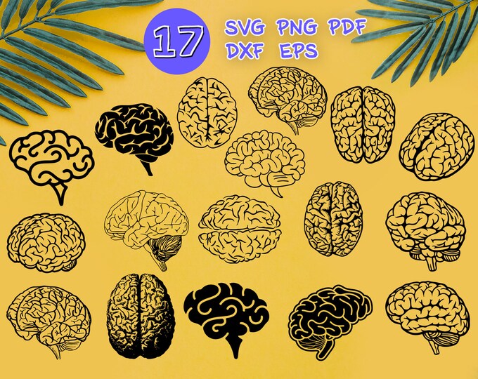 Human Brain Svg Bundle, Different Angles of Brain, Mind Svg Vector Cut ...