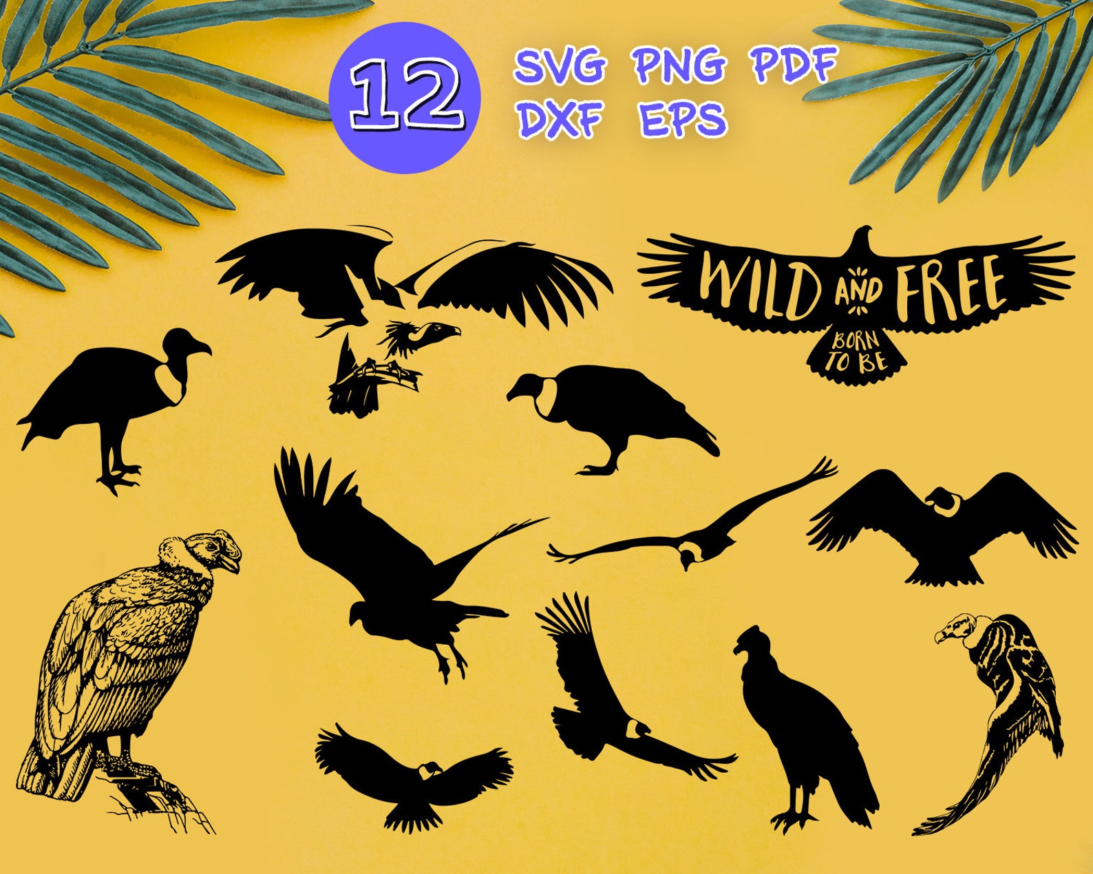 CONDOR SVG, Condor Design Svg, Condor Cricut, Condor Design, Condor ...