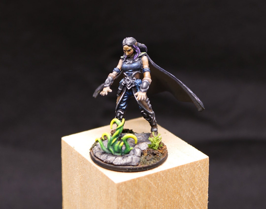 Hand-painted Elf or Half-elf Raven Druid for D&D, Pathfinder, and Other ...